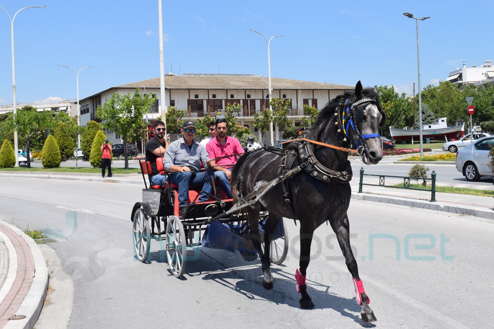Προετοιμασίες στον Βόλο για την 6η Πανελλήνια ιππική συνάντηση - Myvolos